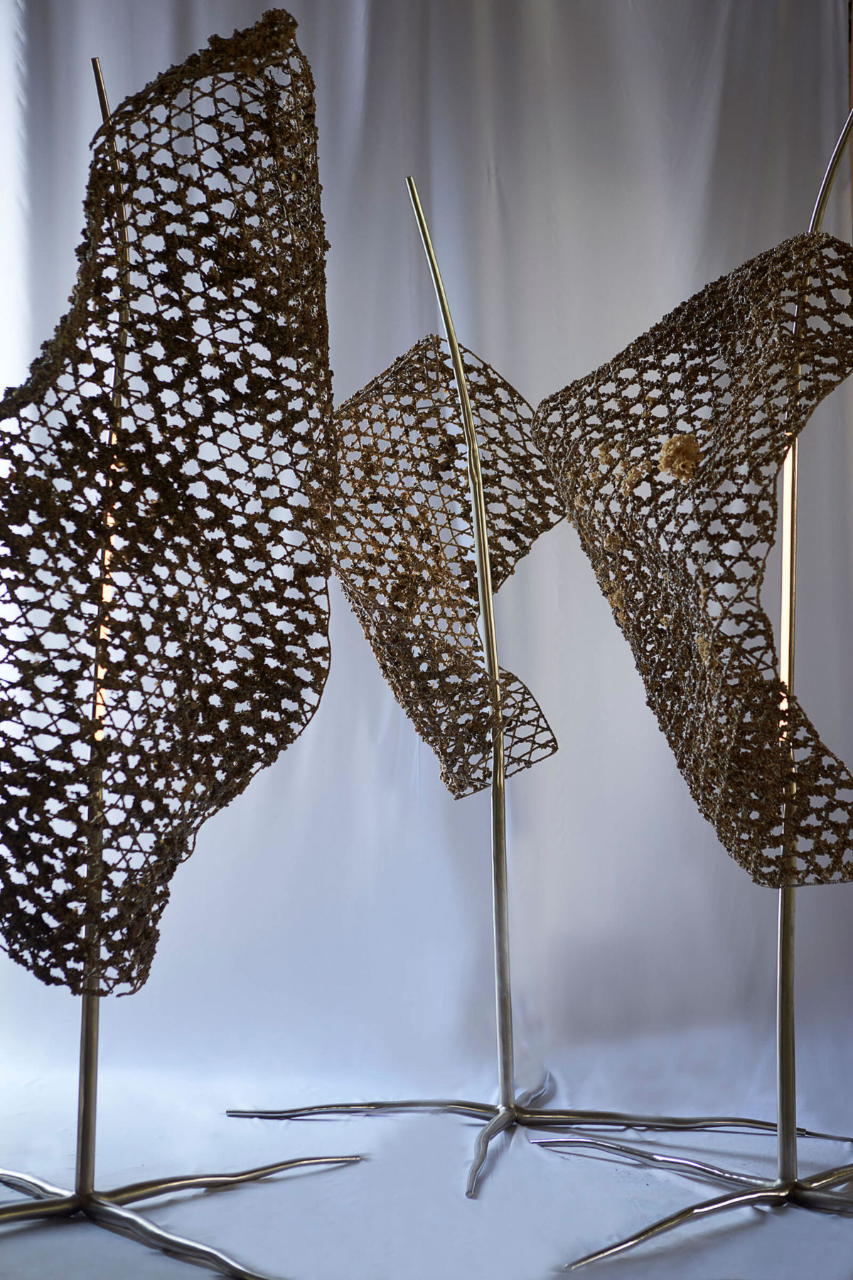 NGV Triennial 2021 - Exhibitions - The Design Edit